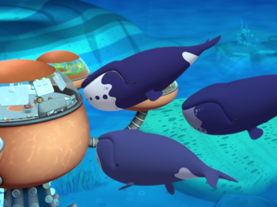 Prime Video: Octonauts Season 2