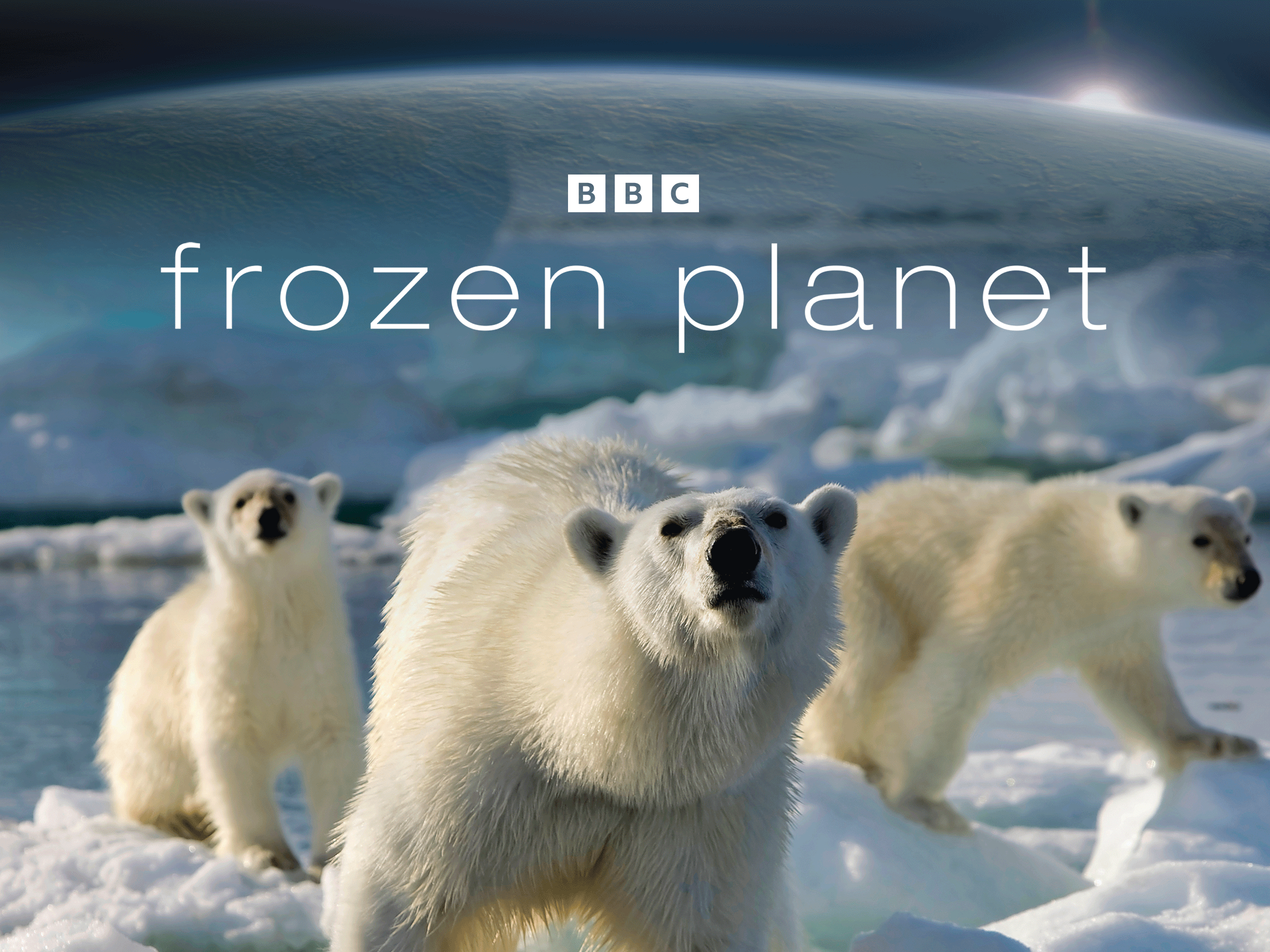 Prime Video: Planet Earth: Frozen Planet, Season 1