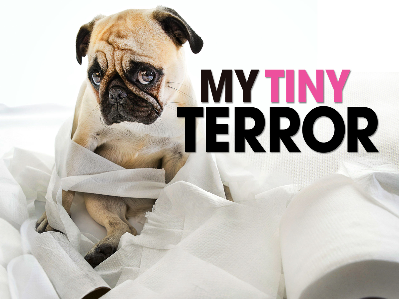 Prime Video: My Tiny Terror - Season 1