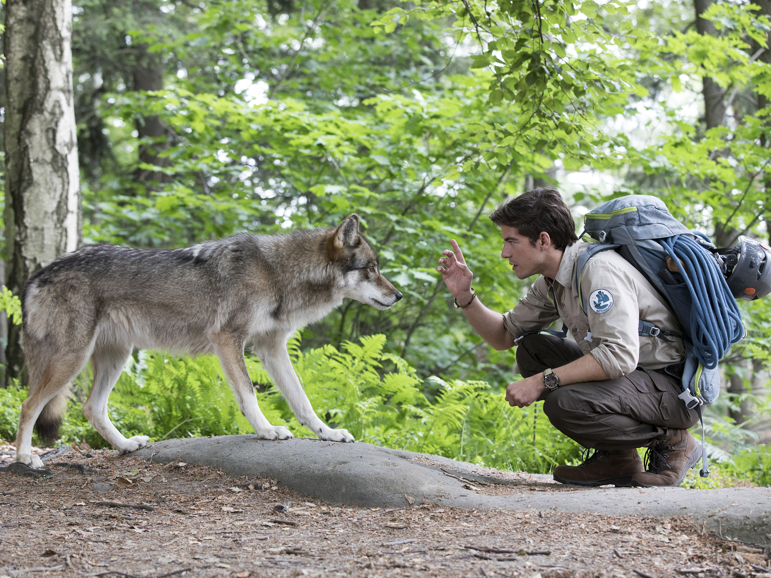 Prime Video: The Ranger, Season 1
