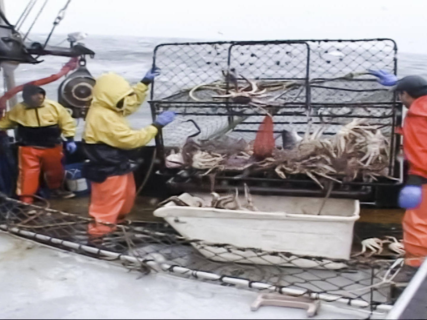 Prime Video: Deadliest Catch - Season 1