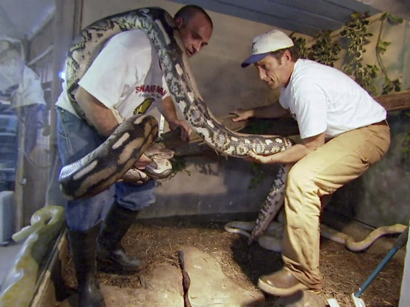 Prime Video: Dirty Jobs - Season 2