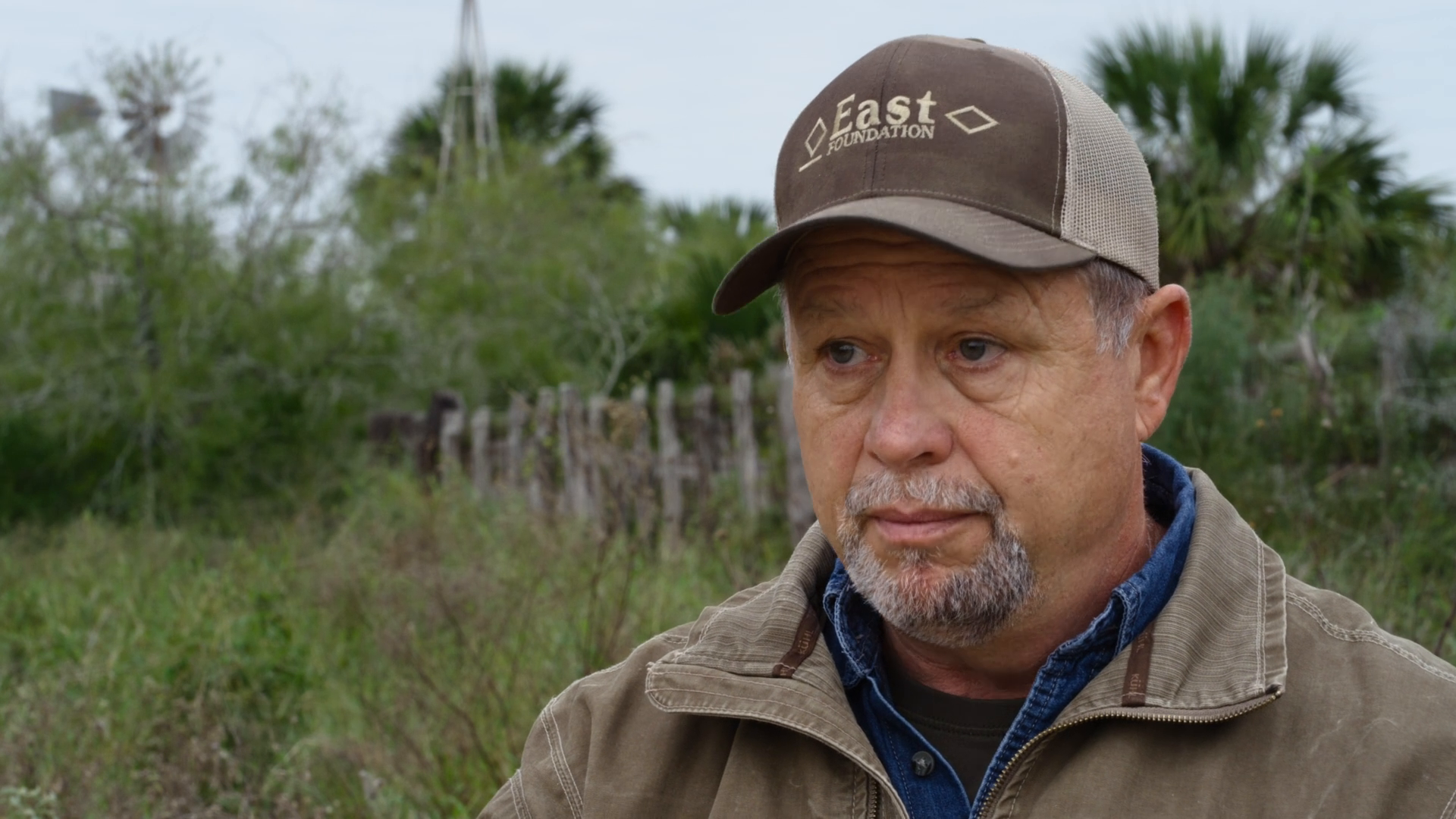 Amazon.com: American Ocelot : Ben Masters, Ben Masters, Fin and Fur ...