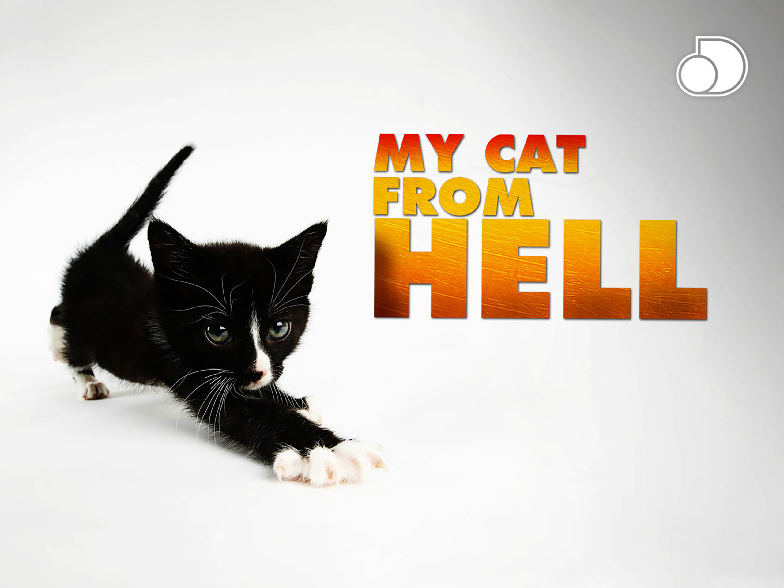 Prime Video: My Cat From Hell - Season 3