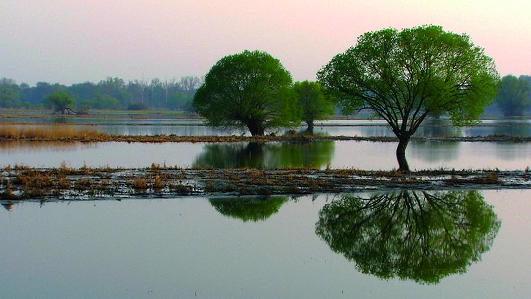 Prime Video: River Without Frontiers