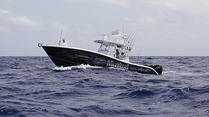 Amazon.com: Two Conch's Adventures - Season 1 : Prime Video