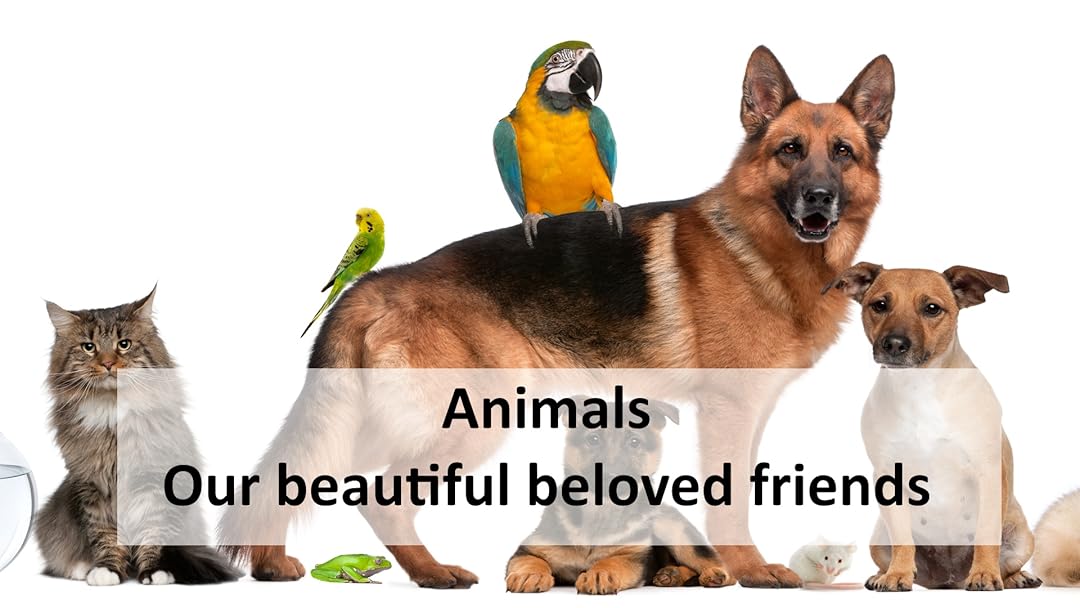 Amazon.com: Animals - Our beautiful beloved friends : ---, A. Nymal ...
