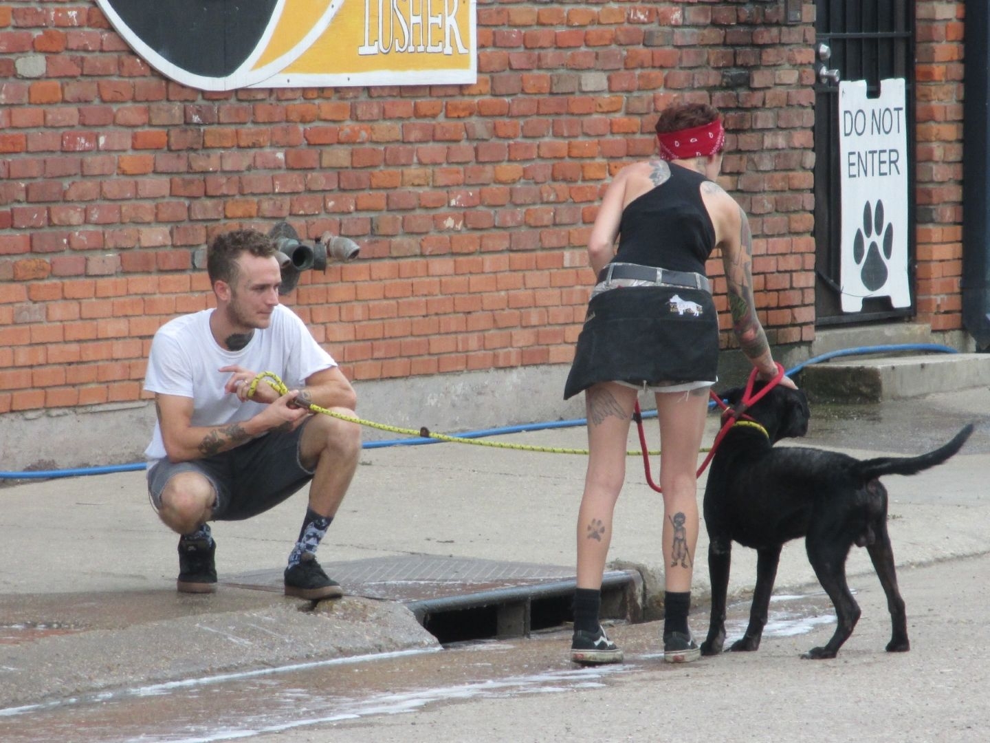 Prime Video: Pit Bulls & Parolees - Season 7