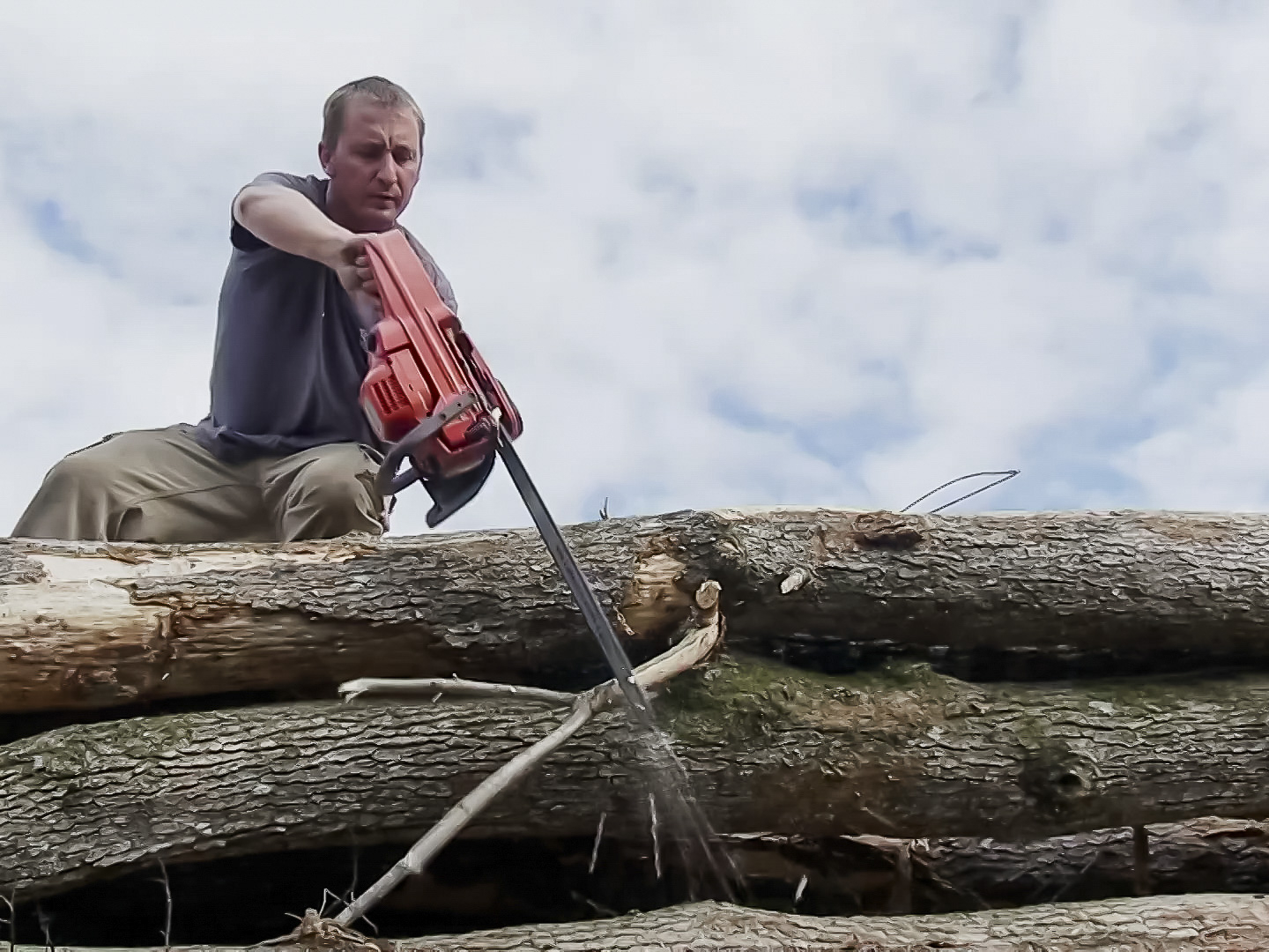 Prime Video: Swamp Loggers - Season 2