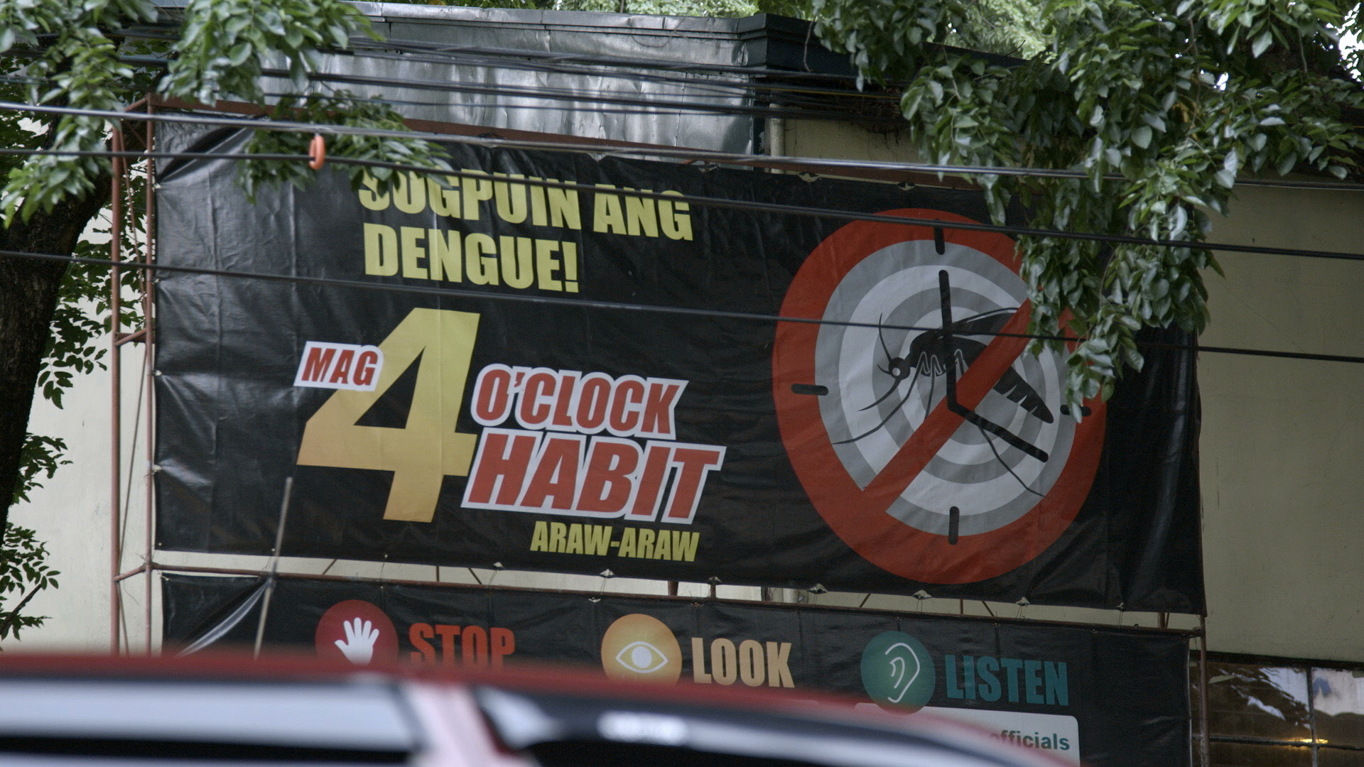 Prime Video: Dengue: The Hunt for a Vaccine