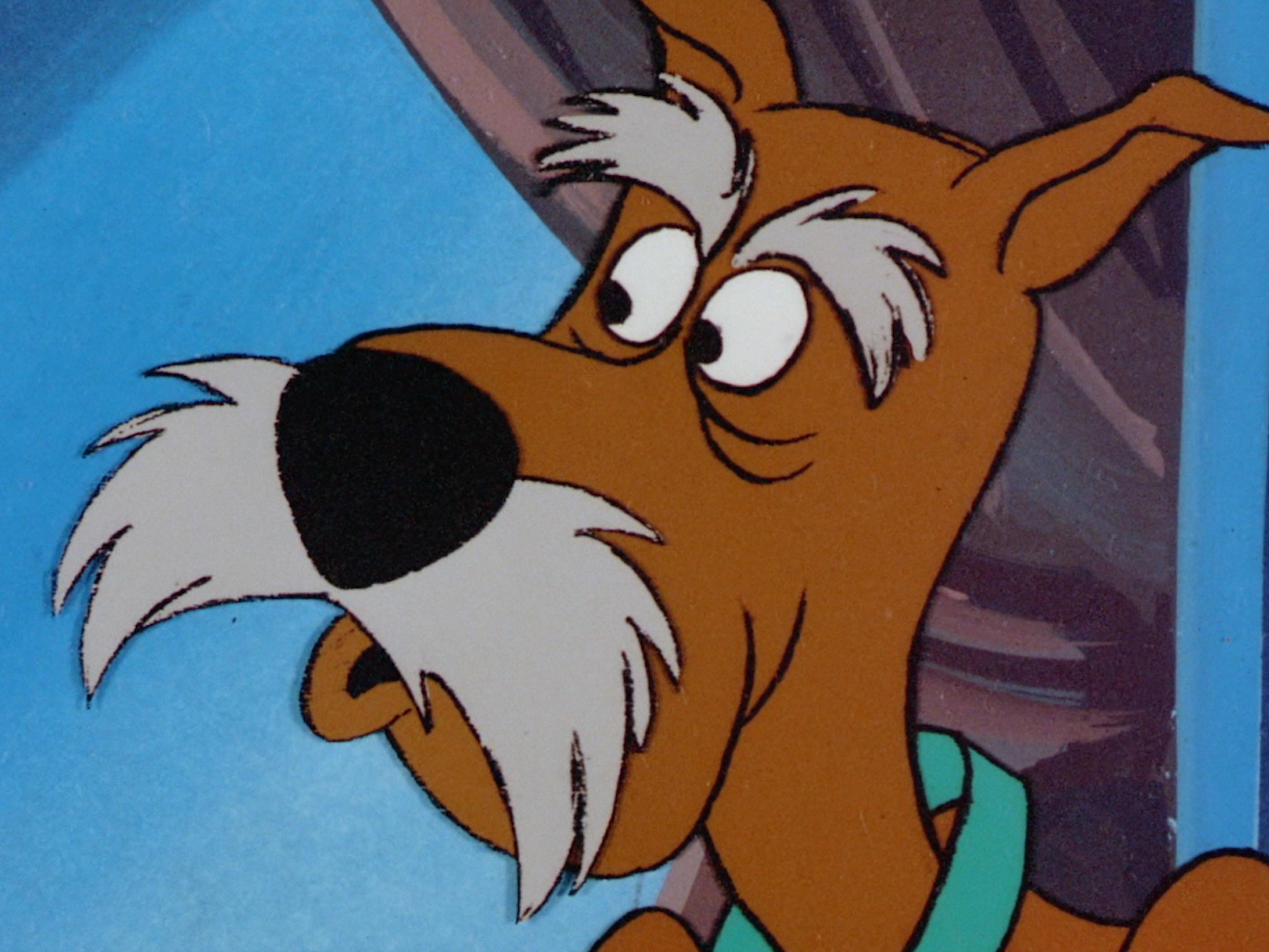 Prime Video: Scooby-Doo and Scrappy-Doo - Season 3