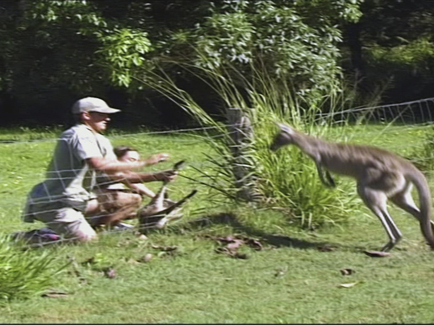 Prime Video: Crocodile Hunter Diaries - Season 1