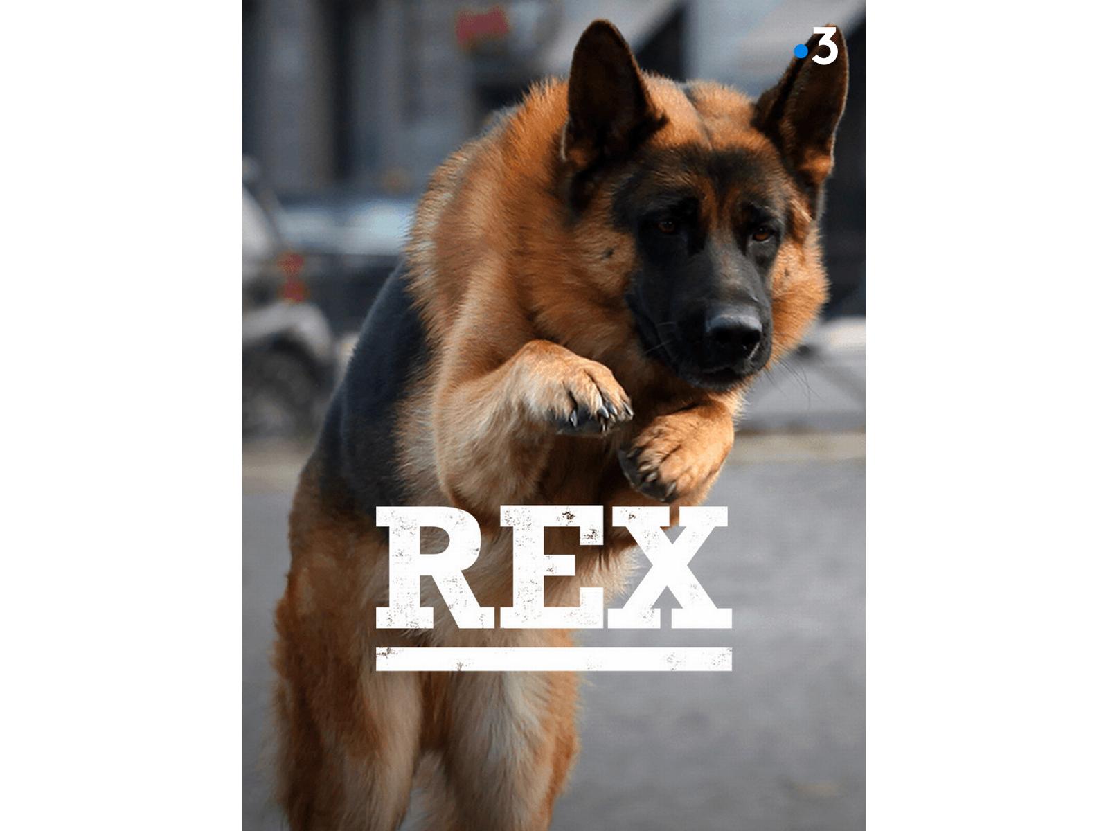 Prime Video: Rex - Saison 6
