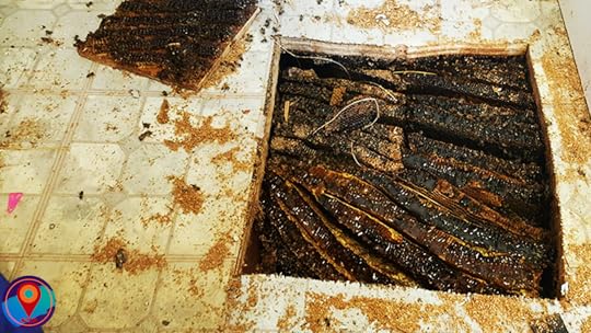 Watch 11 Shocking Things People Discovered in Their Own Homes | Prime Video