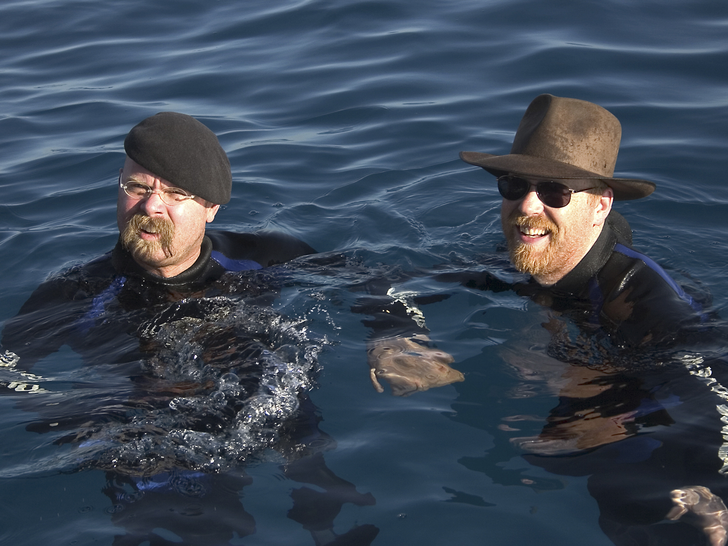 Prime Video: Shark Week - Season 2012