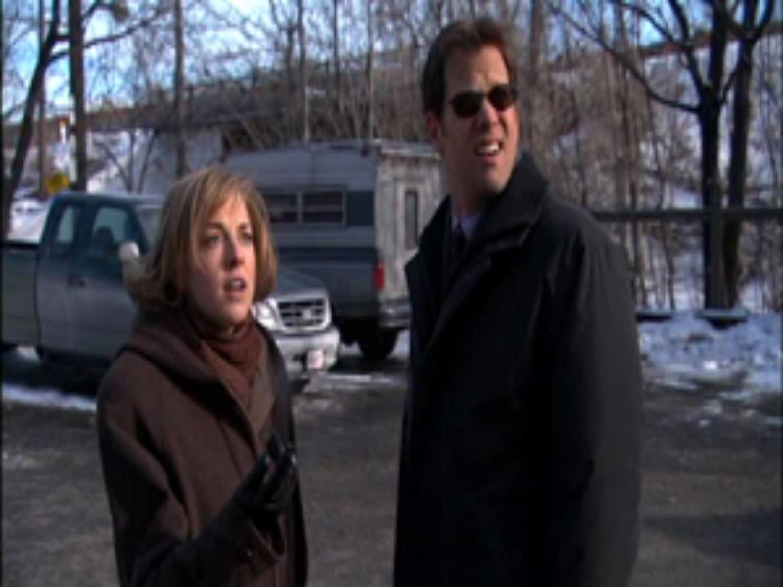 Prime Video: Sue Thomas F.B. Eye