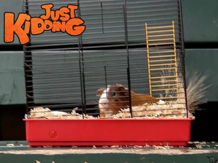 Prime Video: Just Kidding