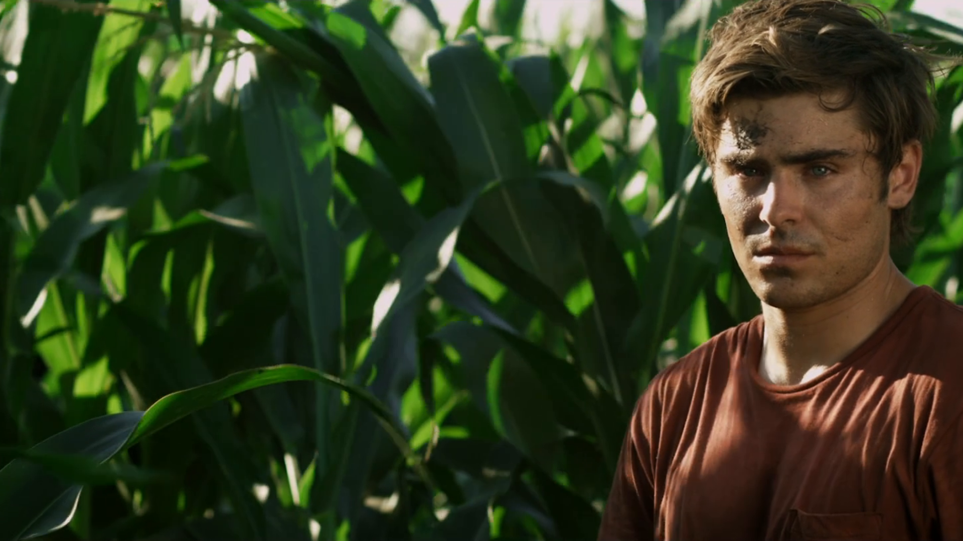 Watch At Any Price | Prime Video