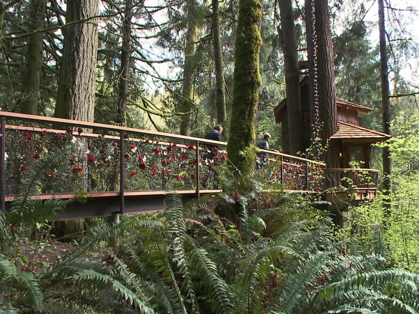Prime Video: Treehouse Masters - Season 1