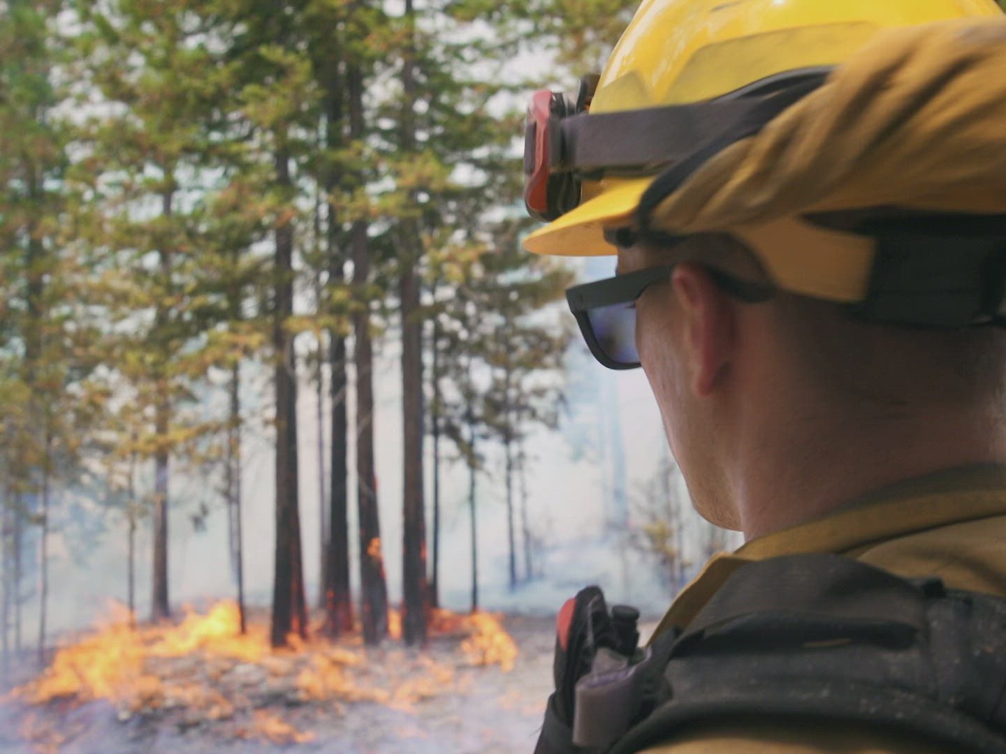 Prime Video: Cal Fire - Season 1