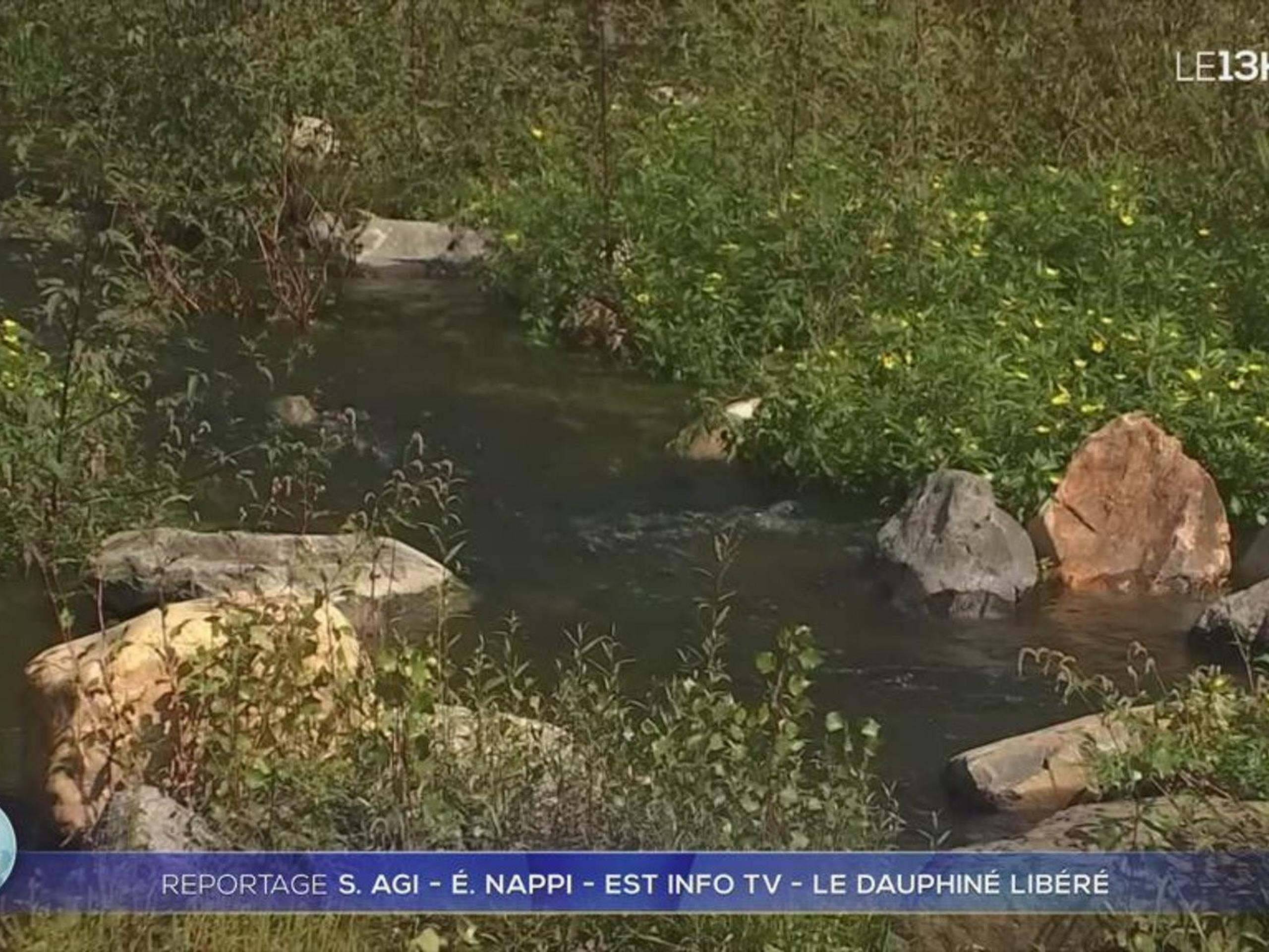 Prime Video: Le Journal du week-end - Saison 41