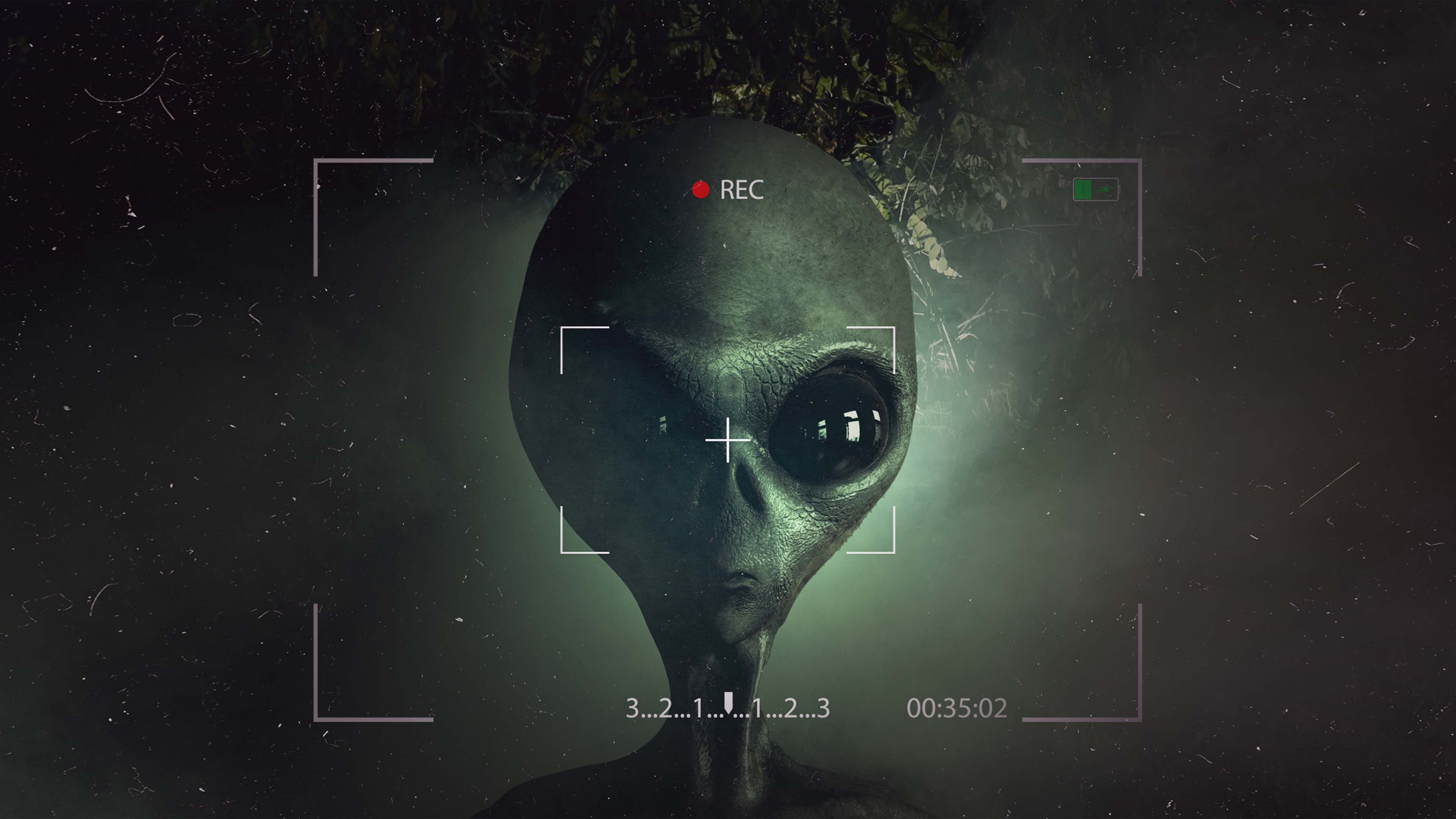 Grey Alien Wallpaper
