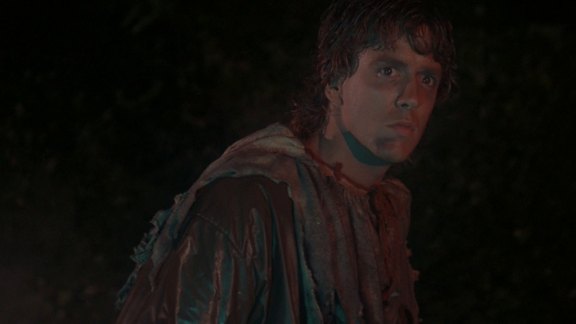 Kathy Fleig's Instagram, Twitter & Facebook on IDCrawl