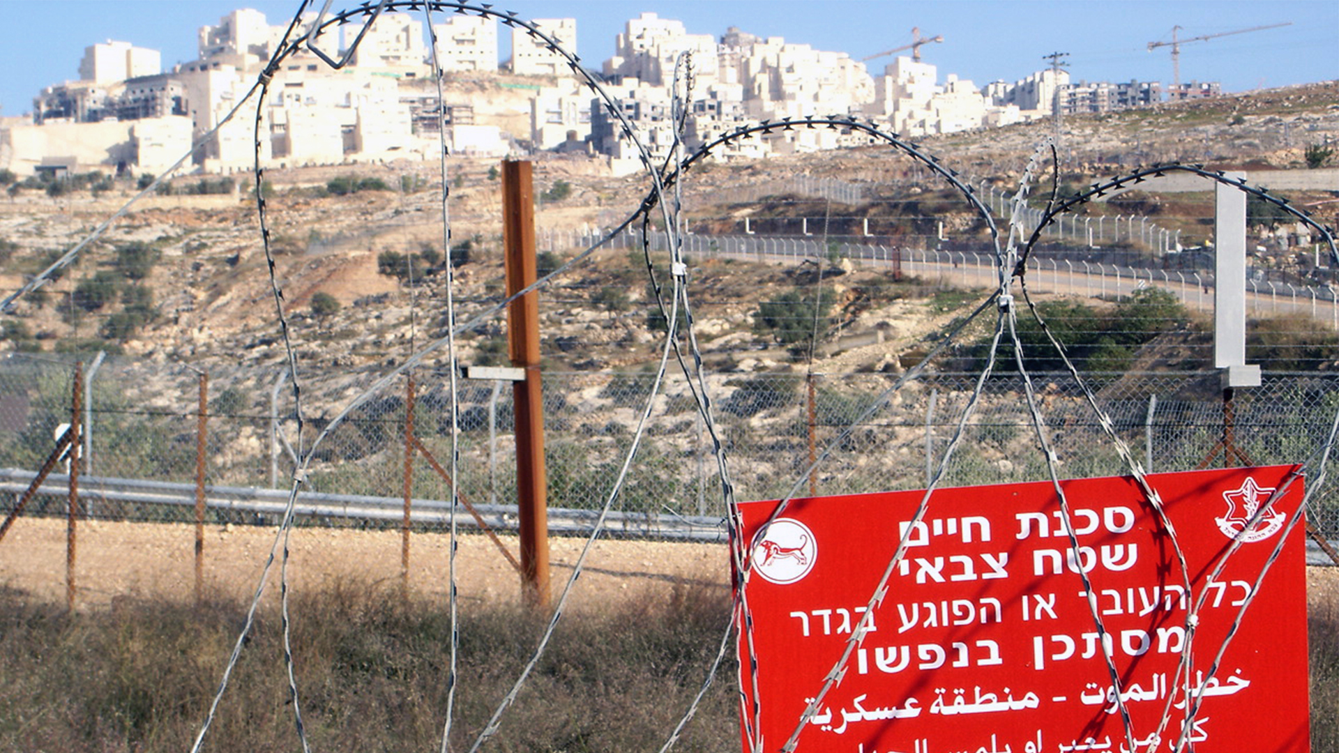 Watch Two Blue Lines | Prime Video