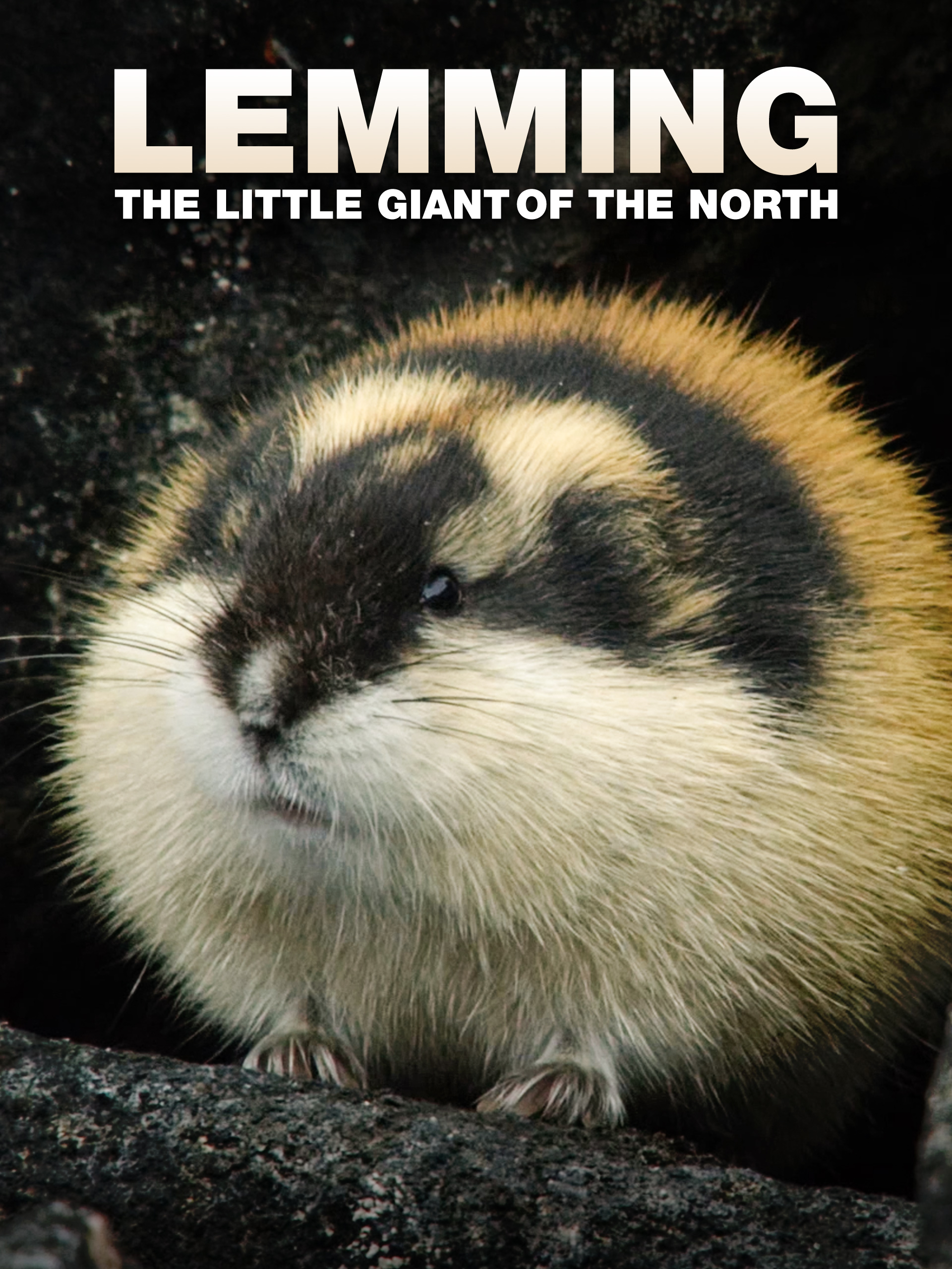 Prime Video: Lemming - The Little Giant of the North