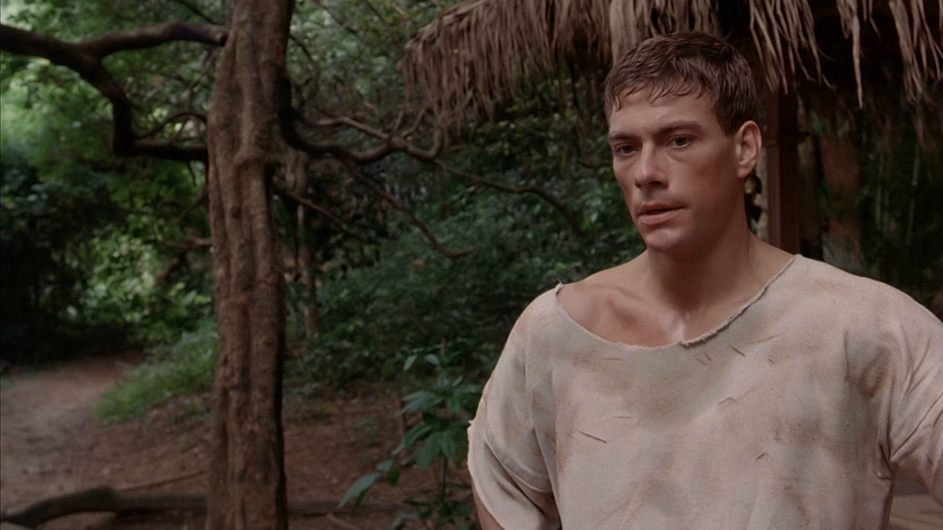 Haskell V Anderson Iii