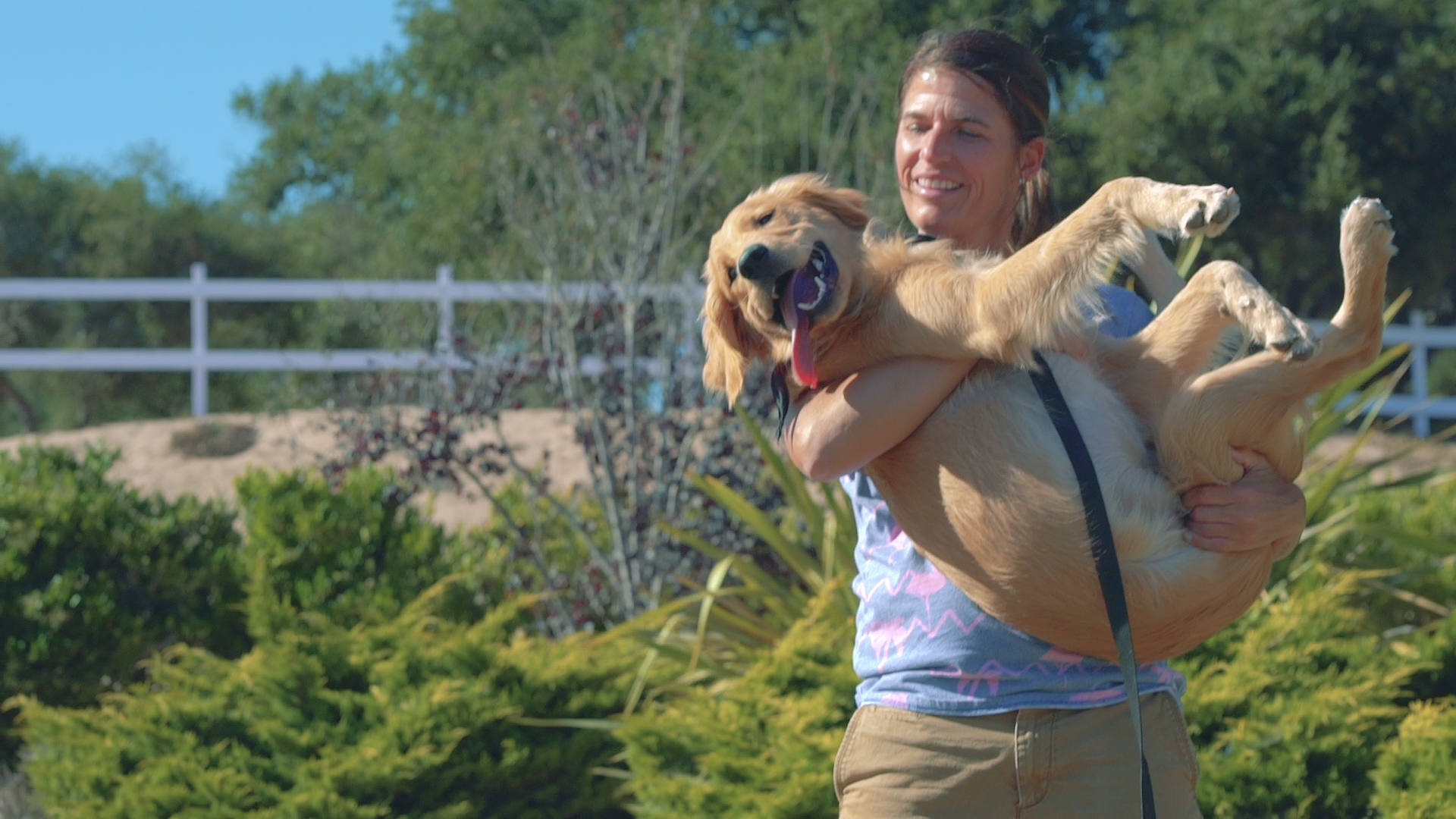 Watch Puppy Prep | Prime Video