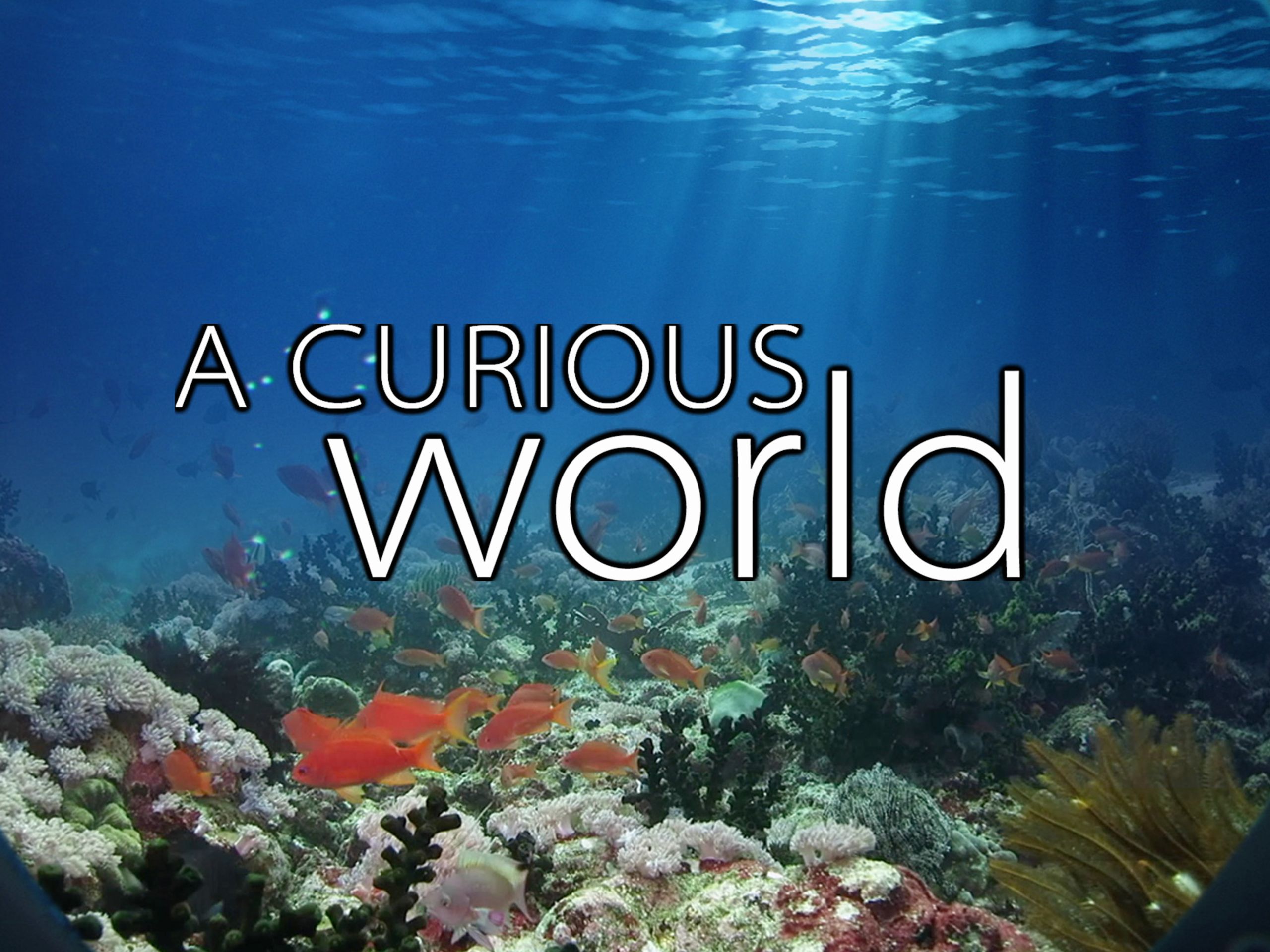 Prime Video: A Curious World - Season 1