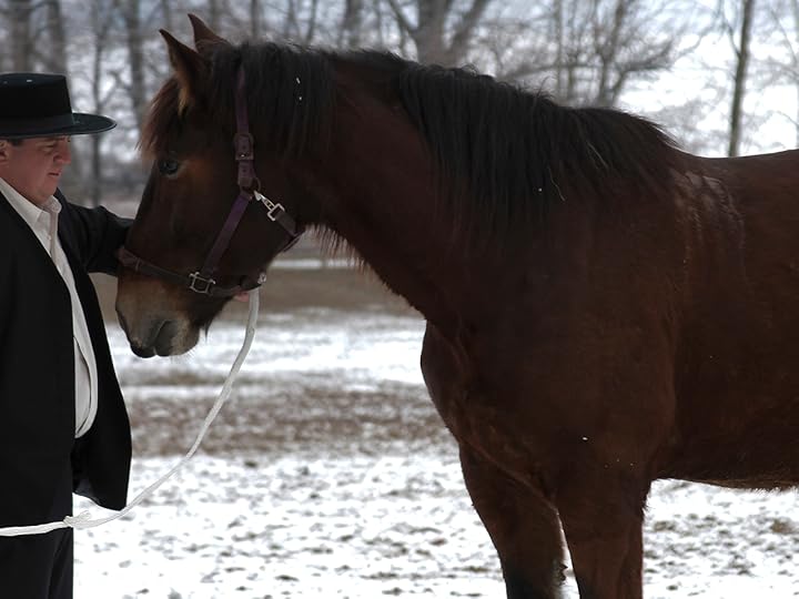 Prime Video: Amish Mafia - Season 2