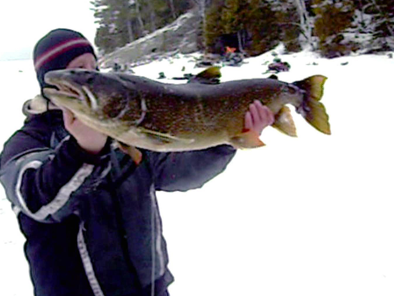 Prime Video: When Vacations Attack! - Season 1