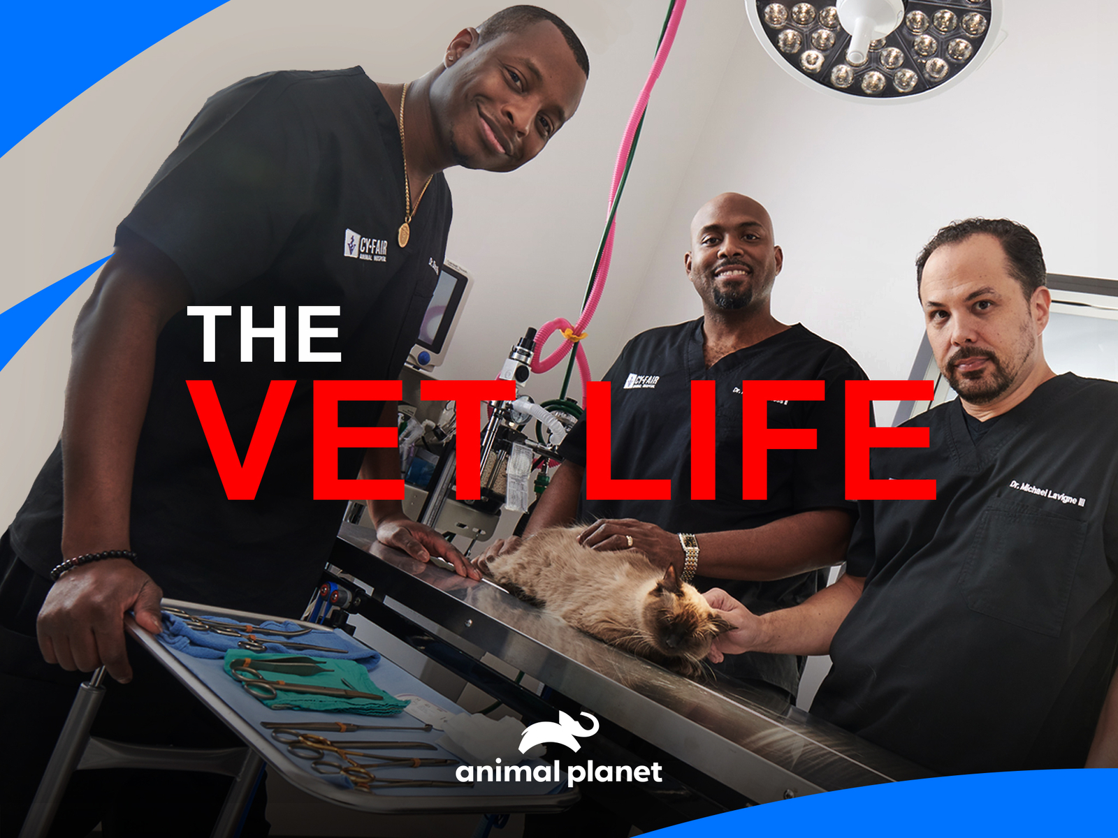 Prime Video: The Vet Life - Season 6