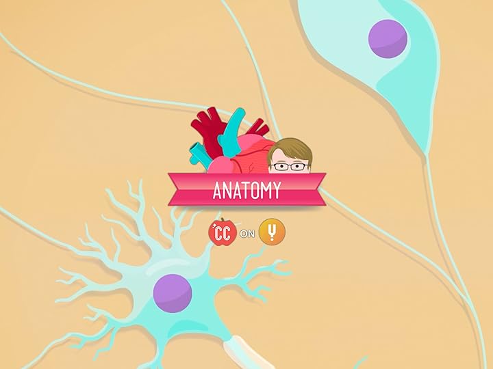 Prime Video: Crash Course: Anatomy & Physiology - Season 1