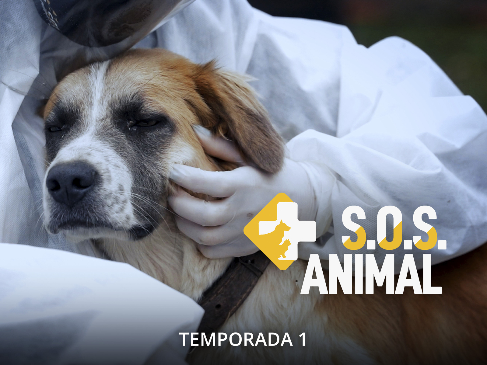 Prime Video: S.O.S. Animal - Season 1