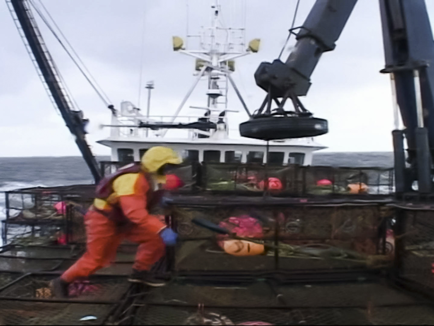 Prime Video: Deadliest Catch - Season 1