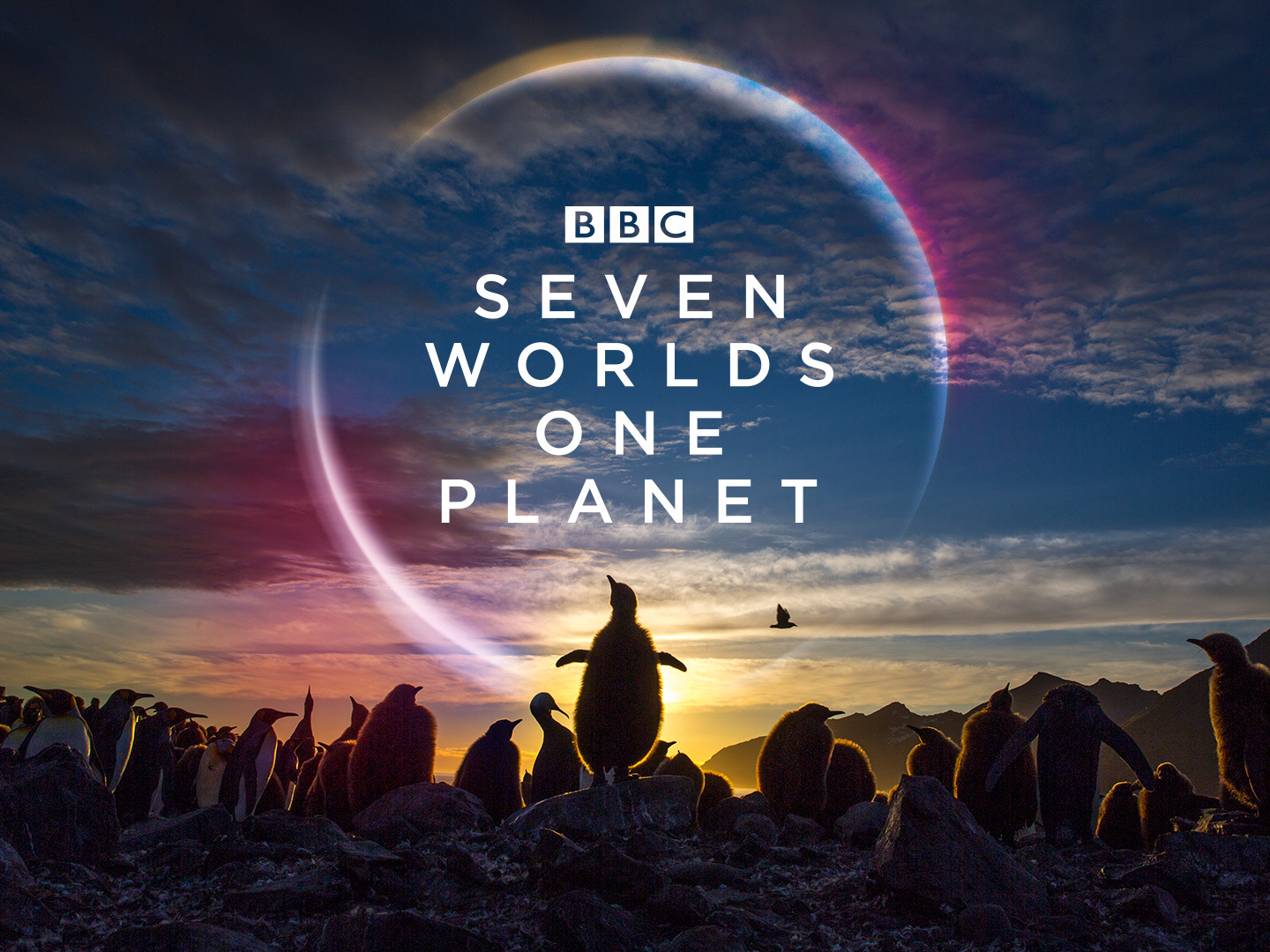 Prime Video: Season 1