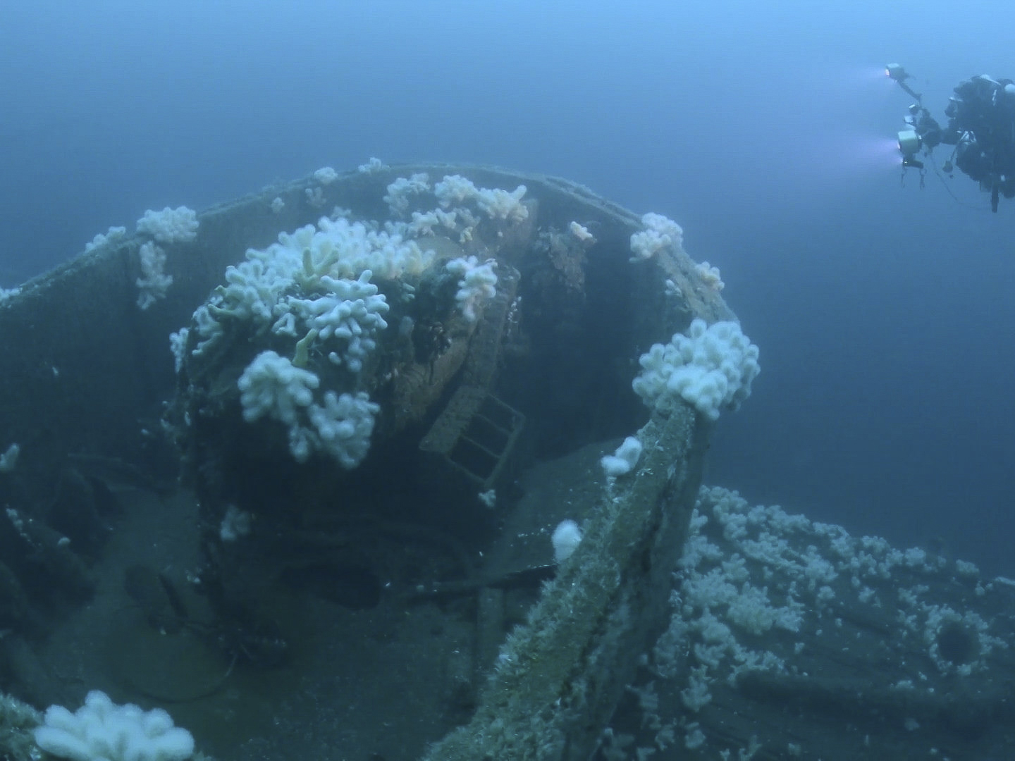 Prime Video: Shipwreck Secrets - Season 1