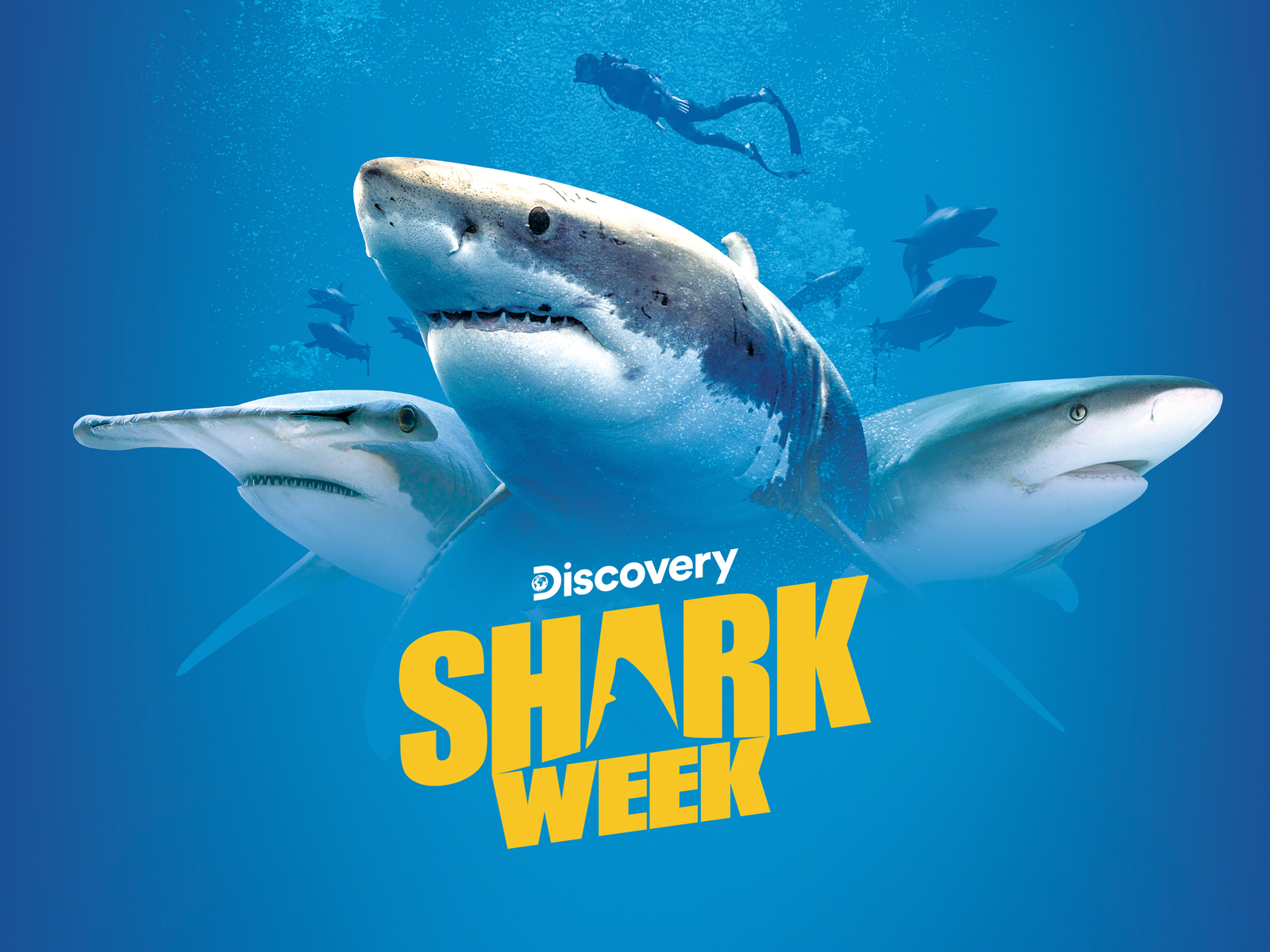 Prime Video: Shark Week - Season 2016
