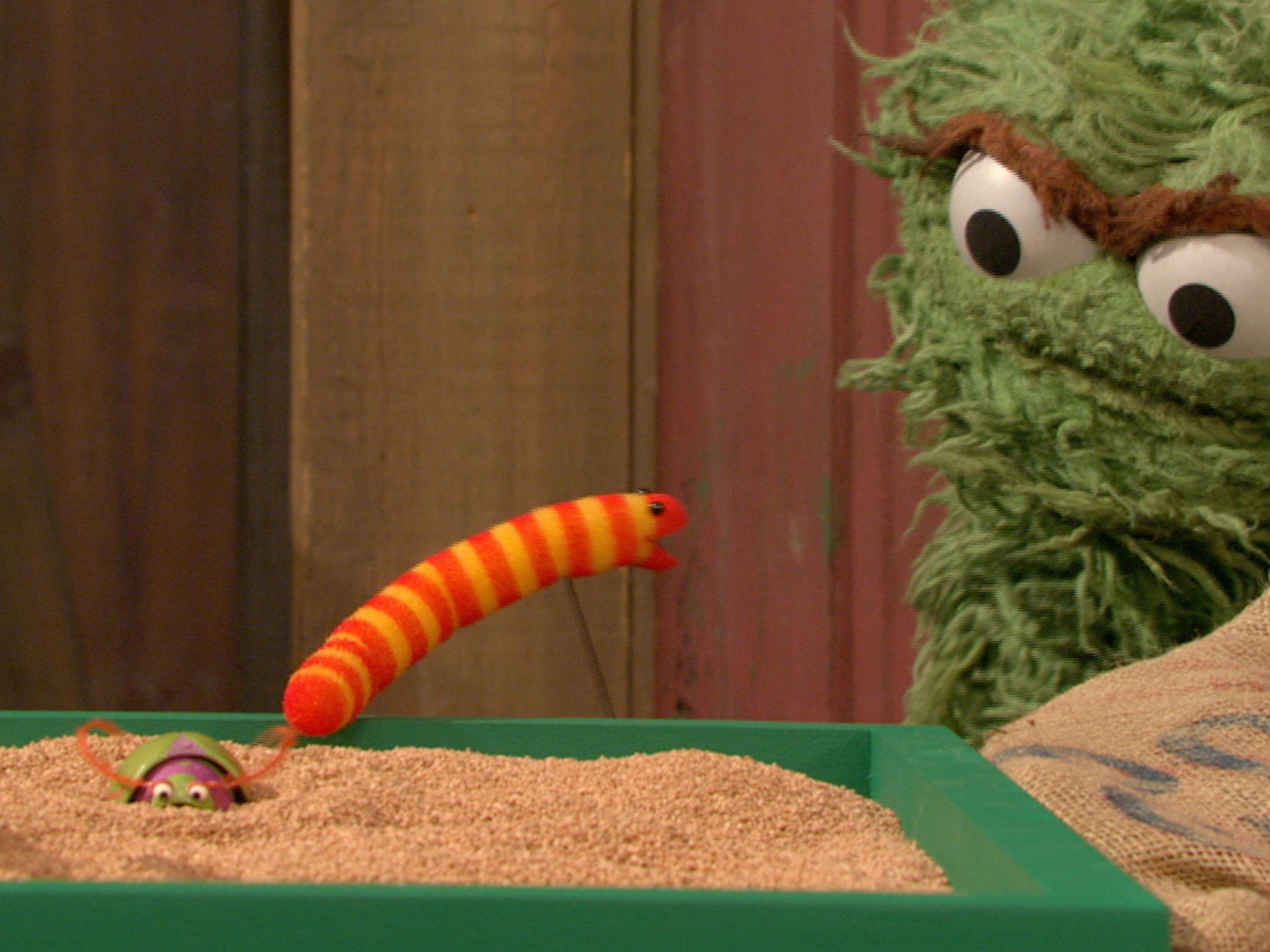 Prime Video: Sesame Street - Season 39