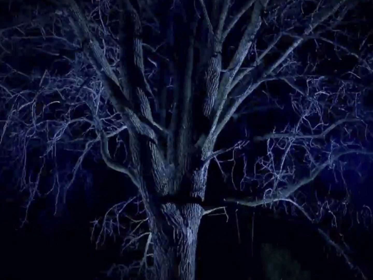 Prime Video: The Dead Files - Season 4