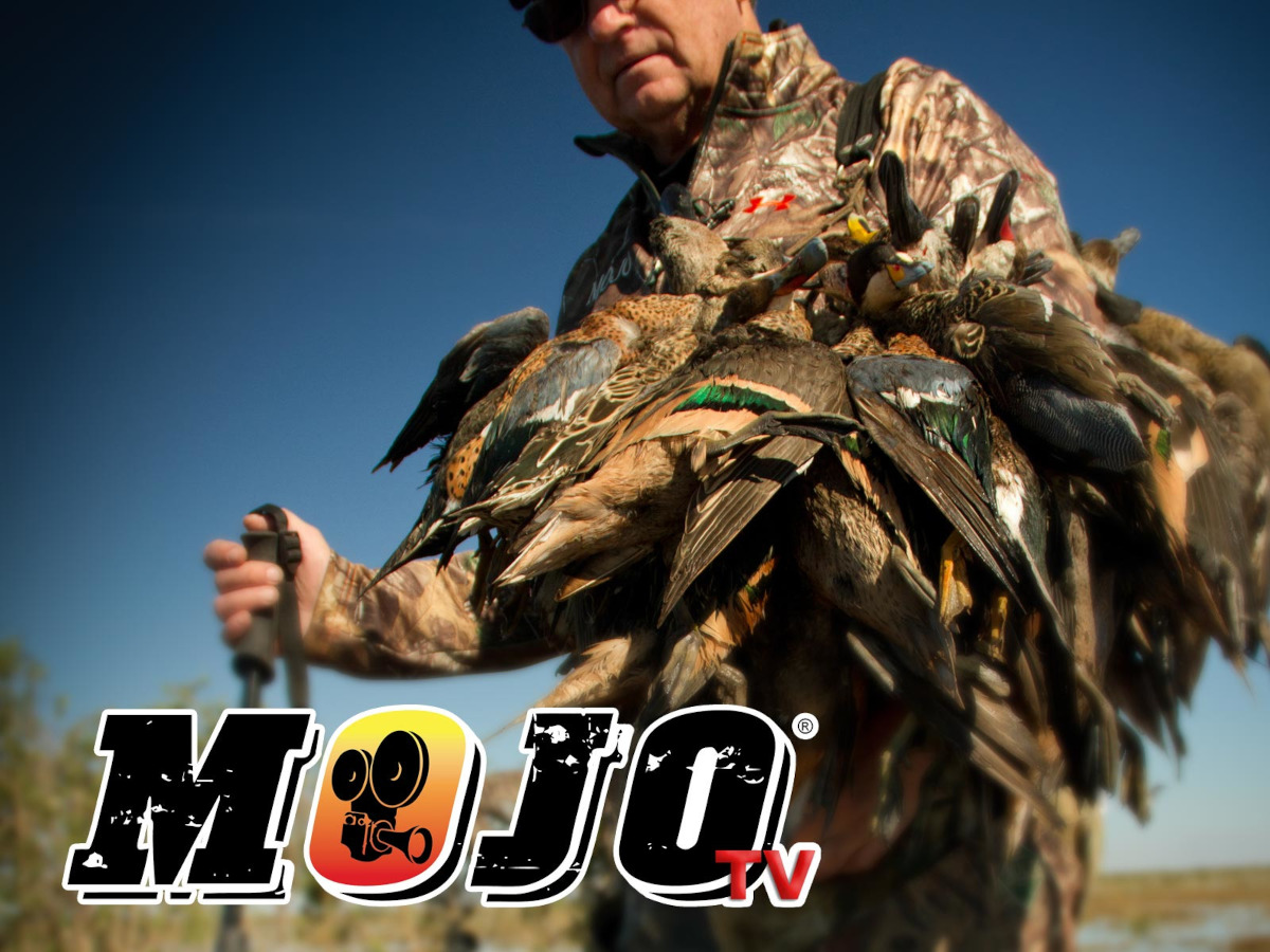 Prime Video: Mojo TV - Season 14