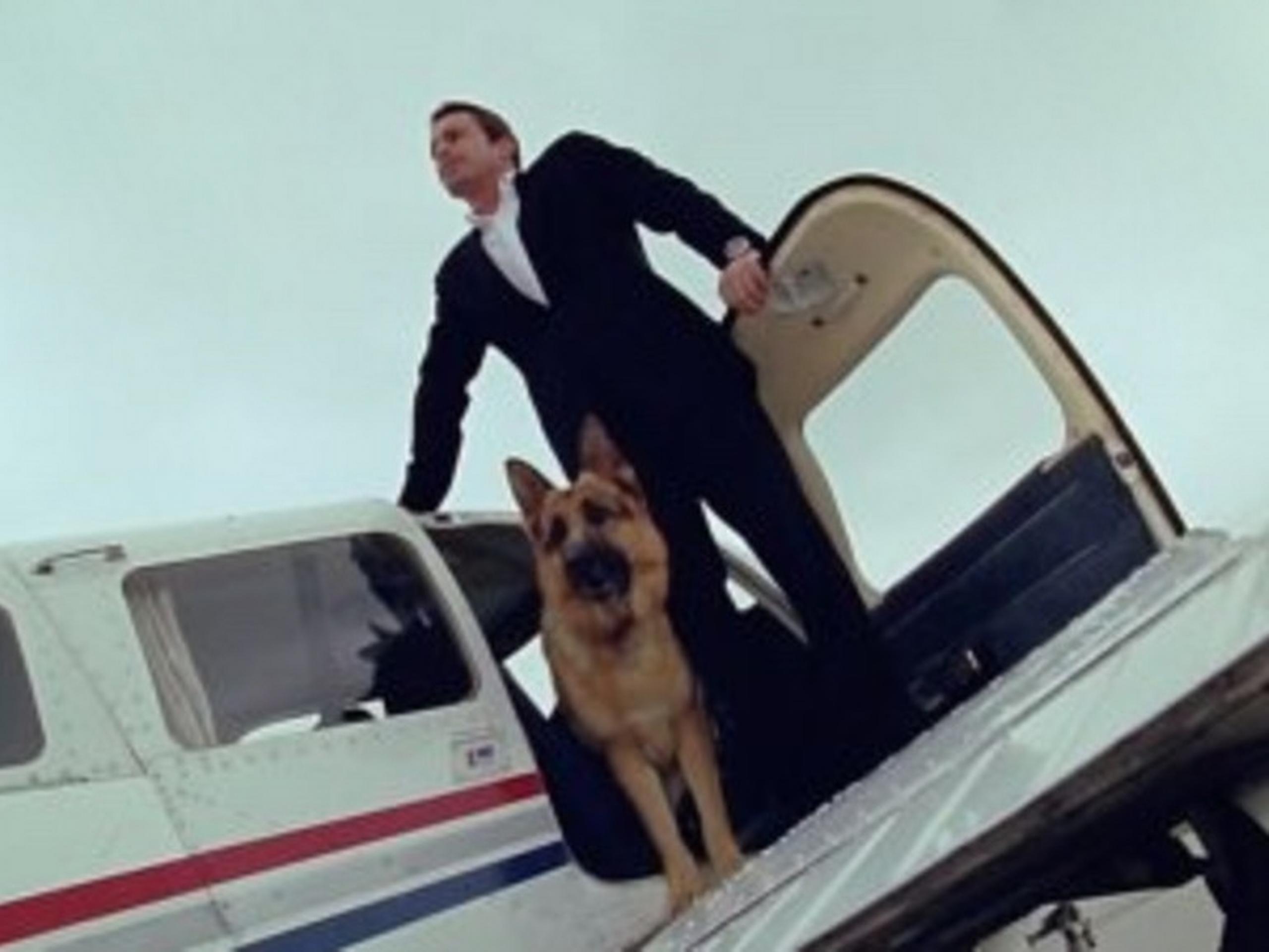 Prime Video: Rex - Saison 7