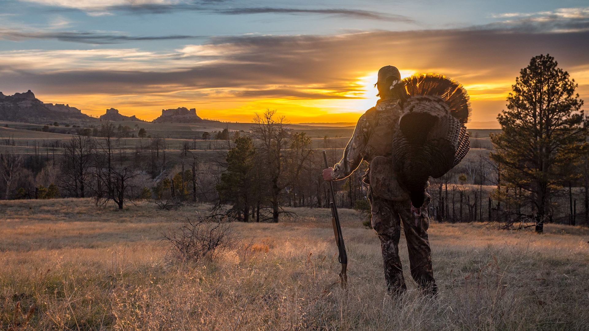 Turkey Hunting Wallpaper