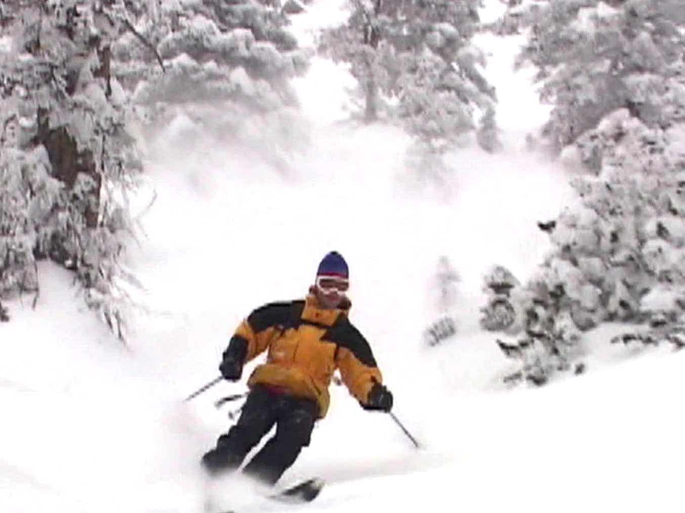 Prime Video: When Vacations Attack! - Season 1