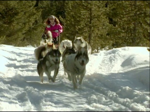 Prime Video: Fetch! With Ruff Ruffman Season 2