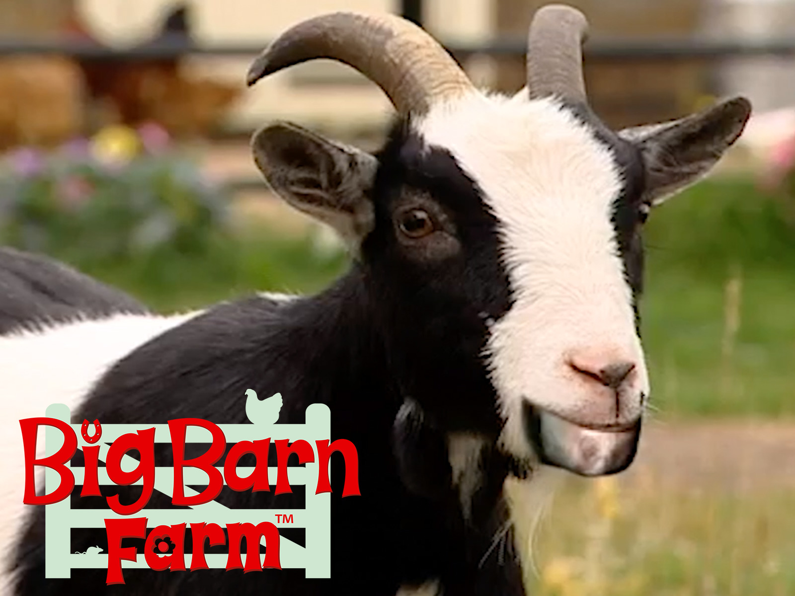 Prime Video: Big Barn Farm