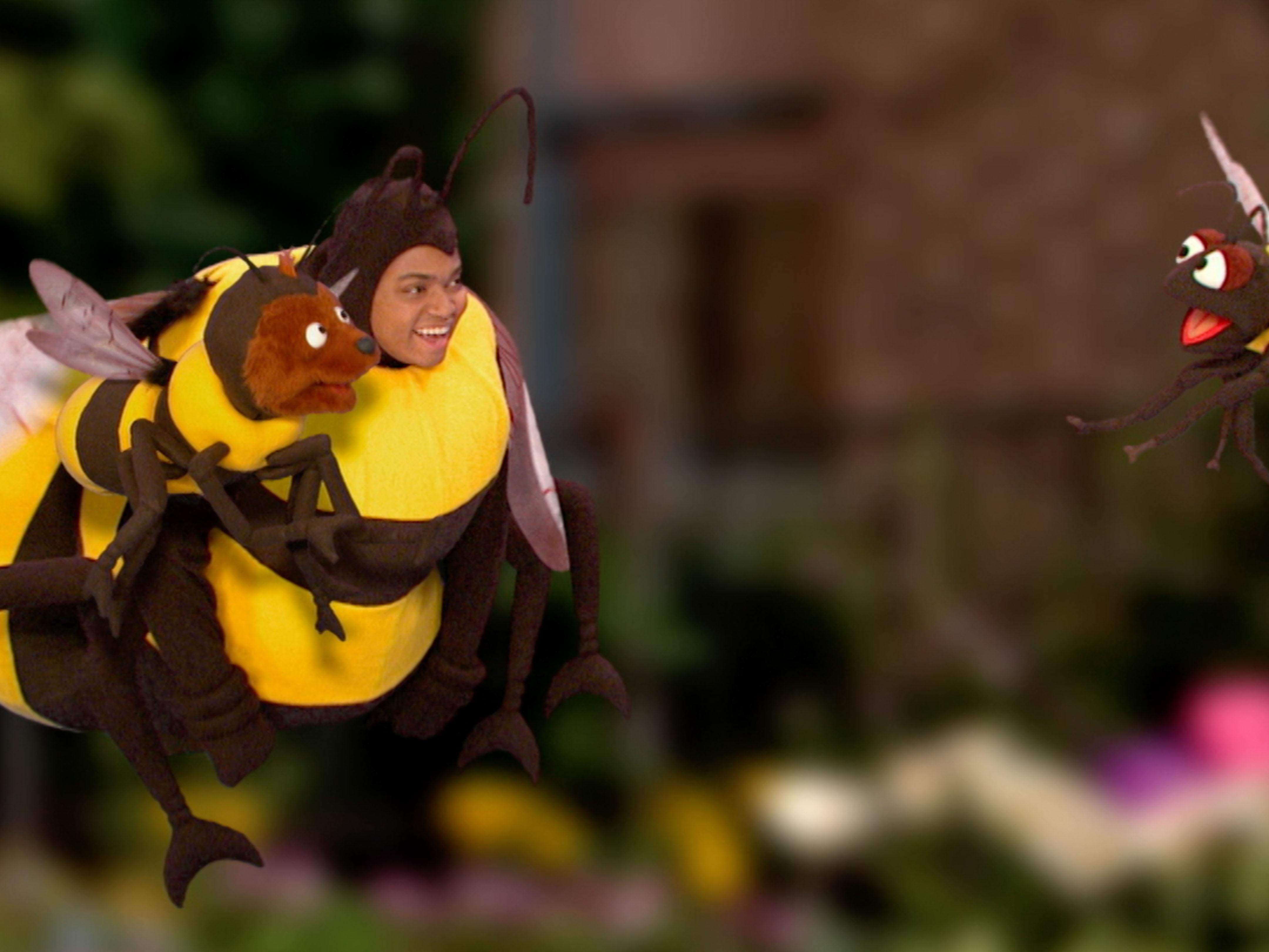 Prime Video: Sesame Street - Season 40